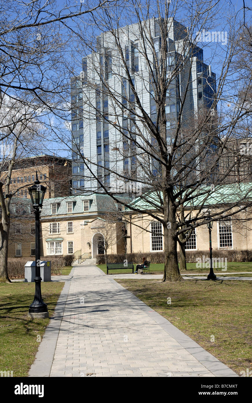 University courtyard quadrangle tree hi-res stock photography and ...