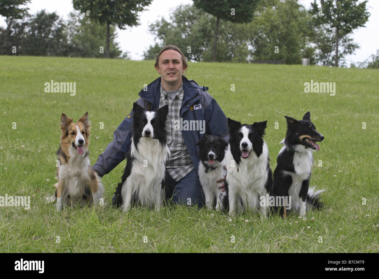 Border Collie (Canis lupus f. familiaris), man with four adult dogs and ...