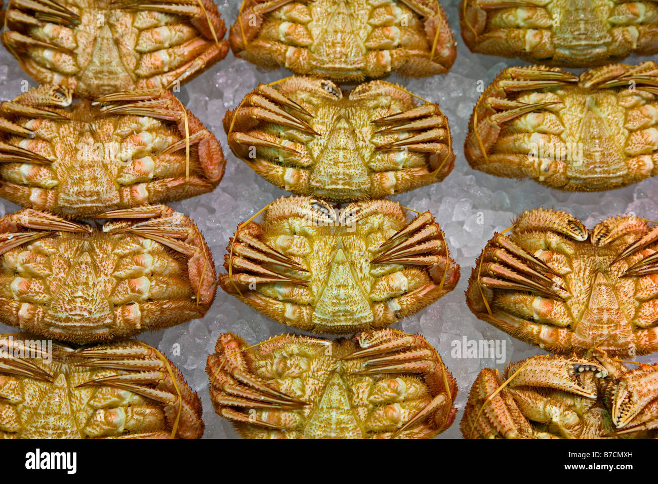 Kegani Crab High Resolution Stock Photography and Images - Alamy