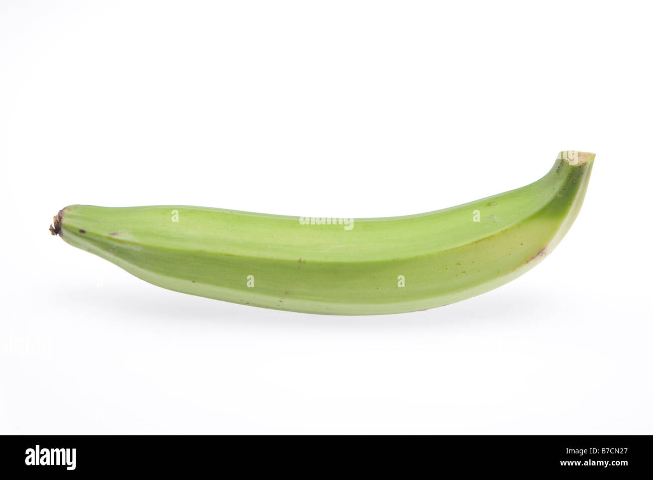 Green fresh plantain Stock Photo - Alamy