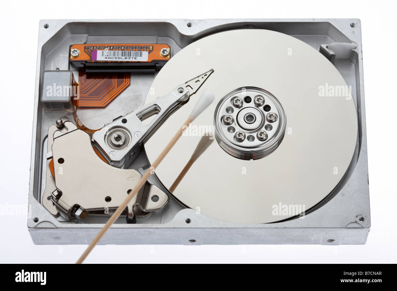 cotton swab touching the open platter of a computer hard drive Stock ...