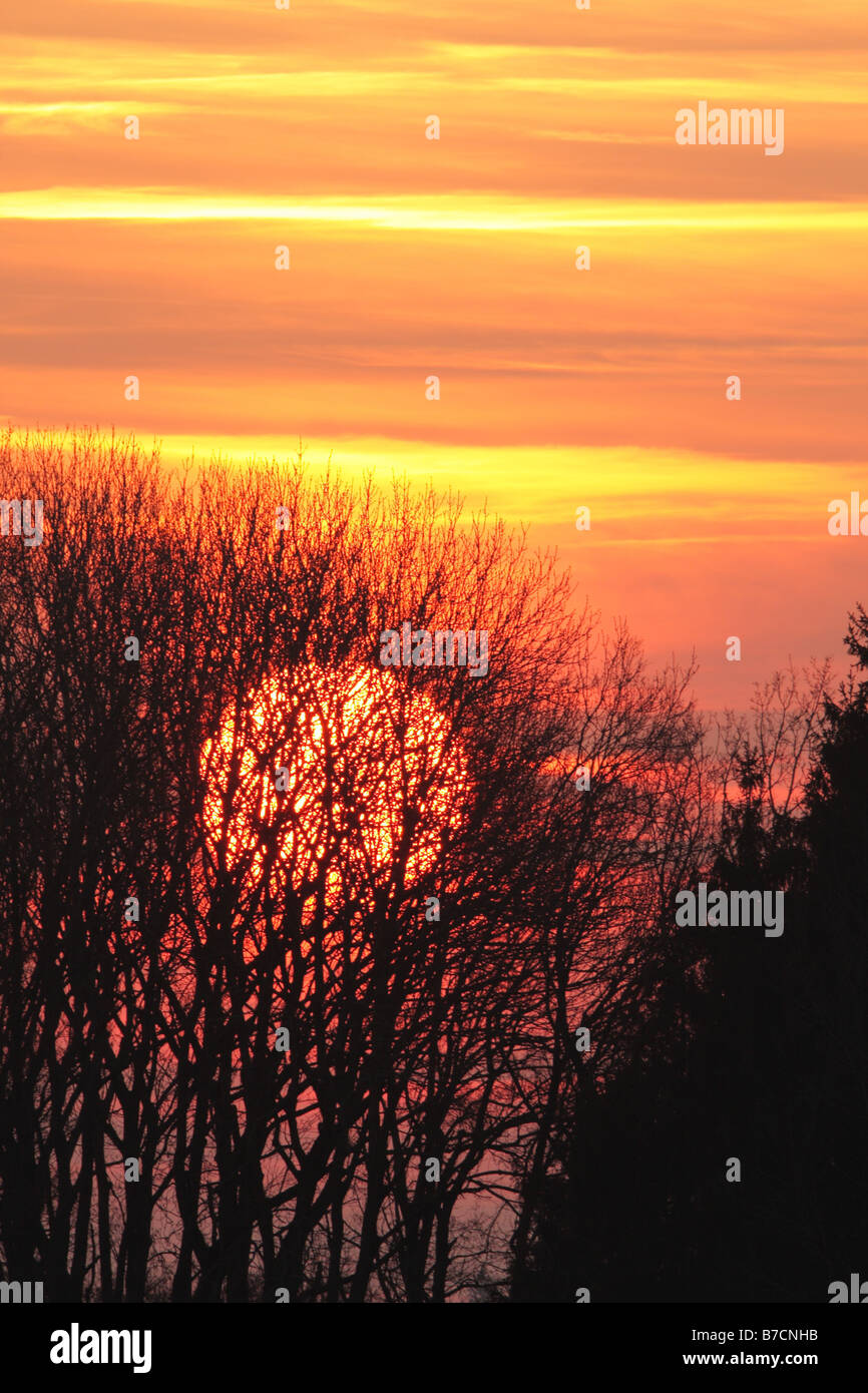 sunset behind trees in winter, Germany, Bavaria Stock Photo - Alamy