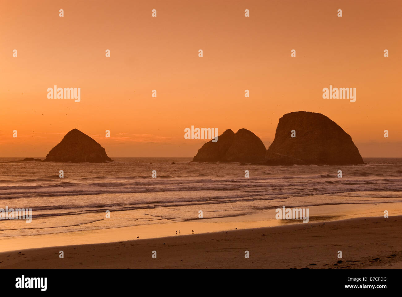 Three capes scenic route hi-res stock photography and images - Alamy