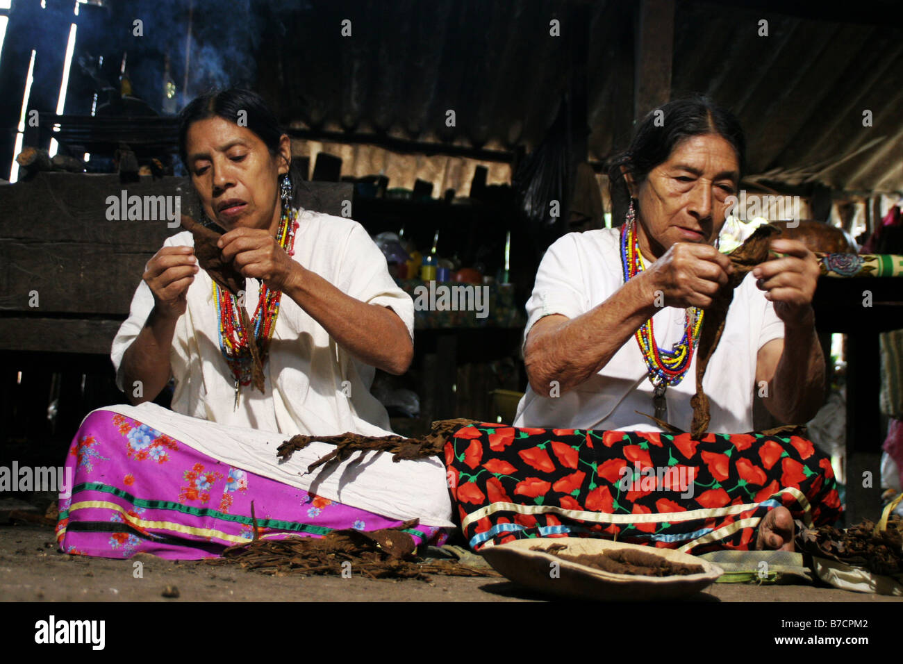 Lacandon Indian women rolling cigars in their hut in Naha in the ...