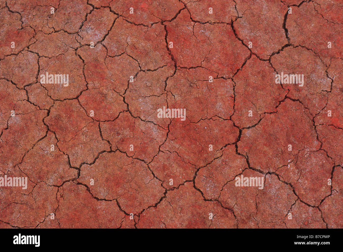 soil structure with shrinkage cracks caused by dryness, Portugal ...