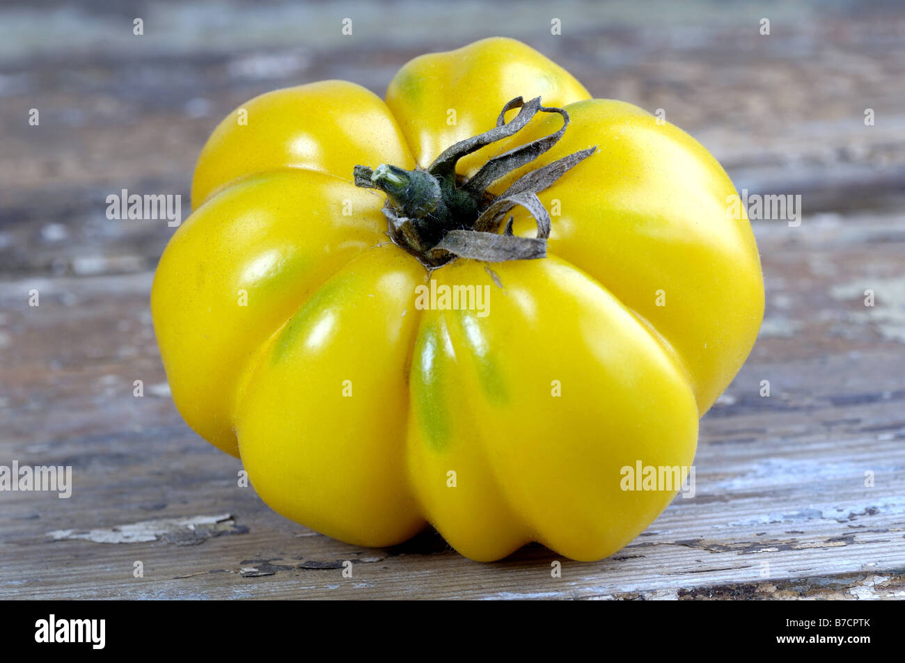 tomatoe sort 'Yellow Ruffled' Stock Photo - Alamy