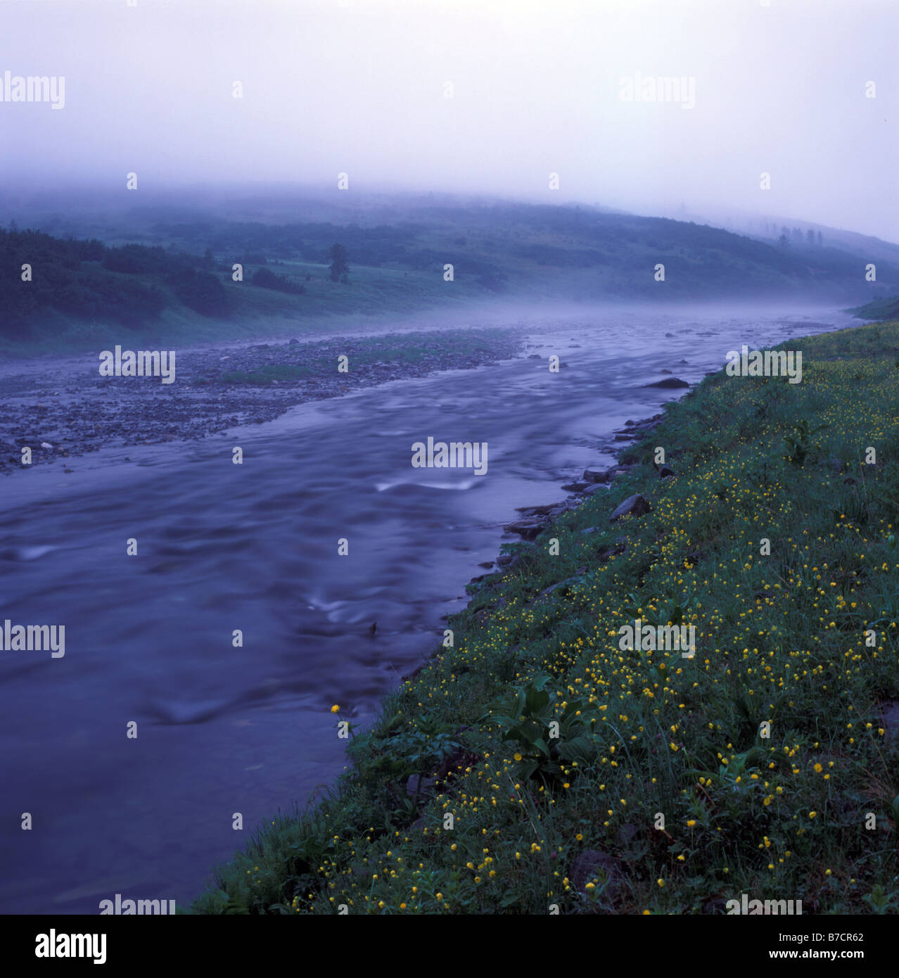 Russia. Yamal Region. Polar Urals. Summer Stock Photo - Alamy