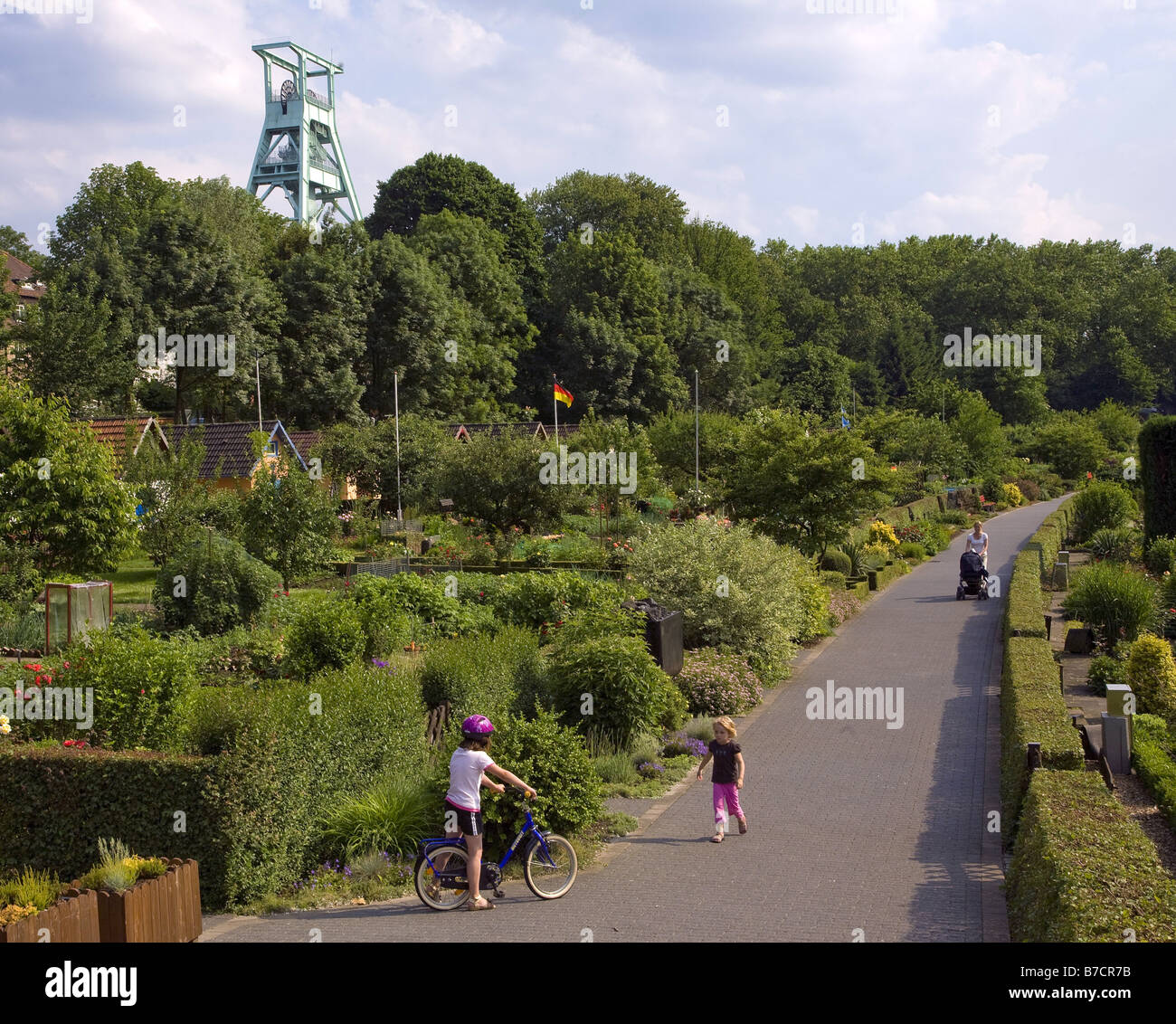 allotment garden with the headgear of the German Mining Museum in the ...