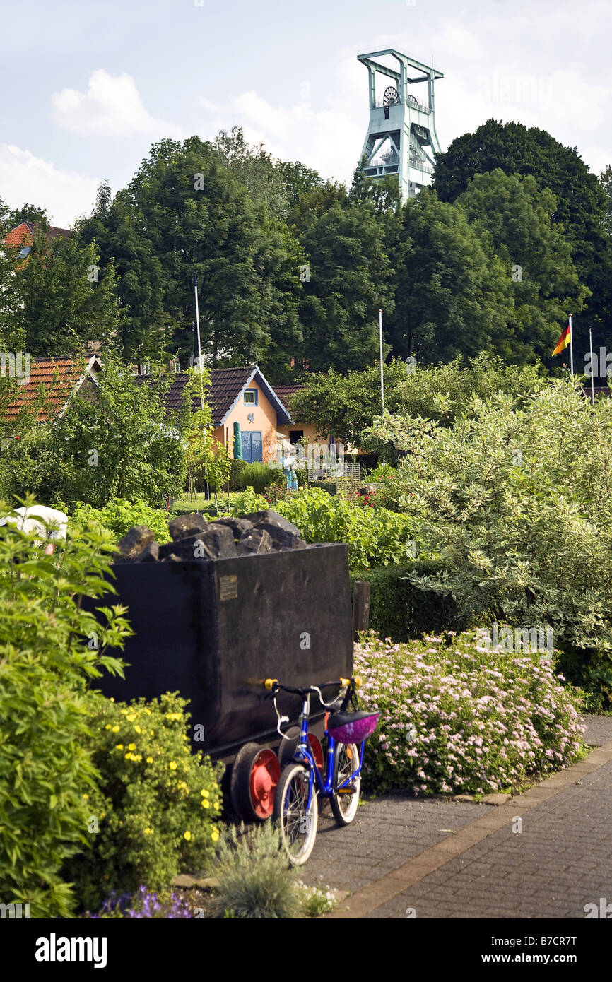 allotment garden with the headgear of the German Mining Museum in the ...