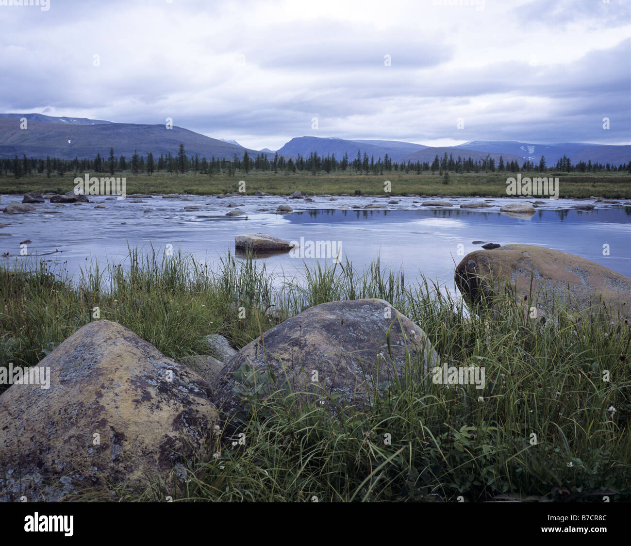 Russia. Yamal Region. Polar Urals. Summer Stock Photo - Alamy