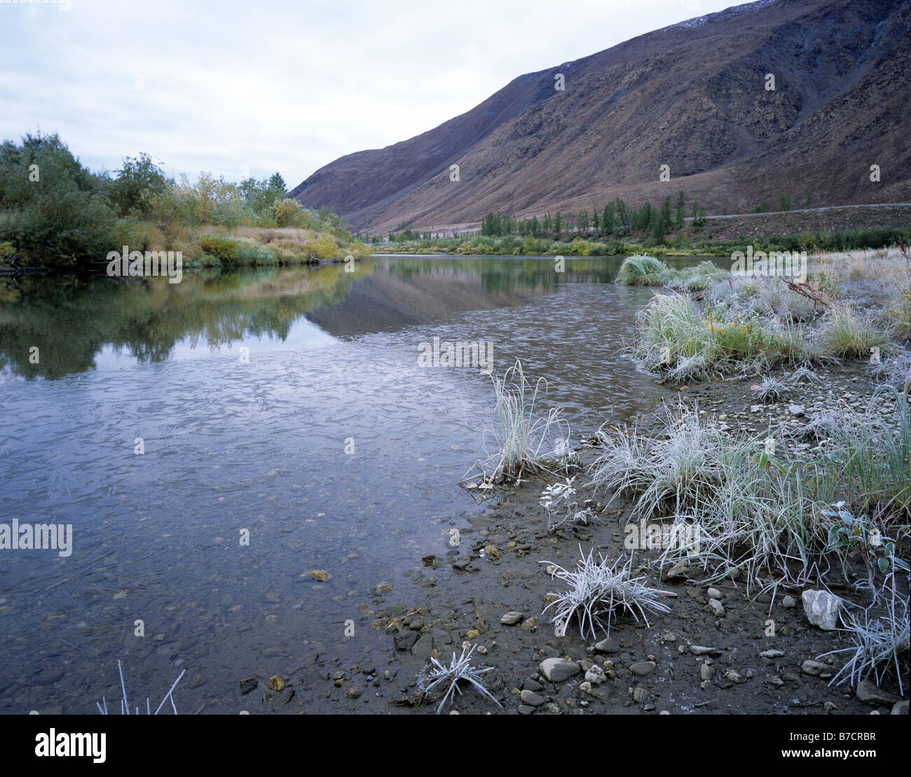 Russia. Yamal Region. Polar Urals, river Sob'. Autumn Stock Photo - Alamy