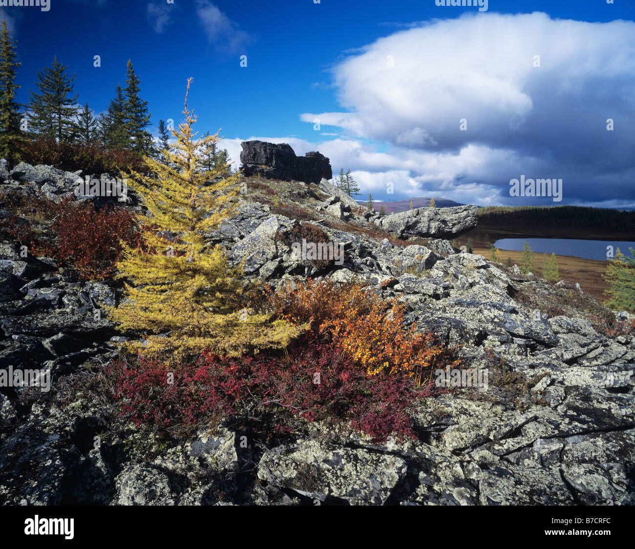 Russia. Yamal Region. Polar Urals. Autumn Stock Photo - Alamy