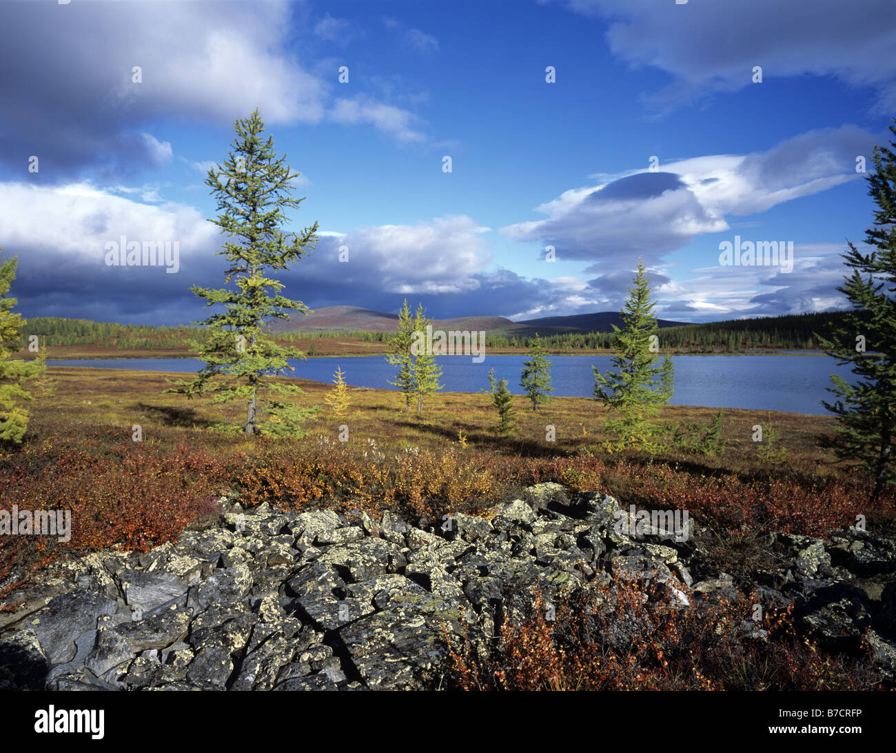 Russia. Yamal Region. Polar Urals. Autumn Stock Photo - Alamy
