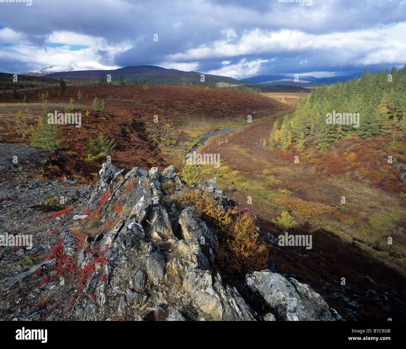 Russia. Yamal Region. Polar Urals. Autumn Stock Photo - Alamy