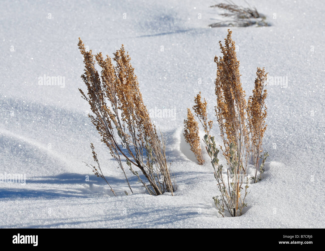Snow ice in mountain hi-res stock photography and images - Alamy