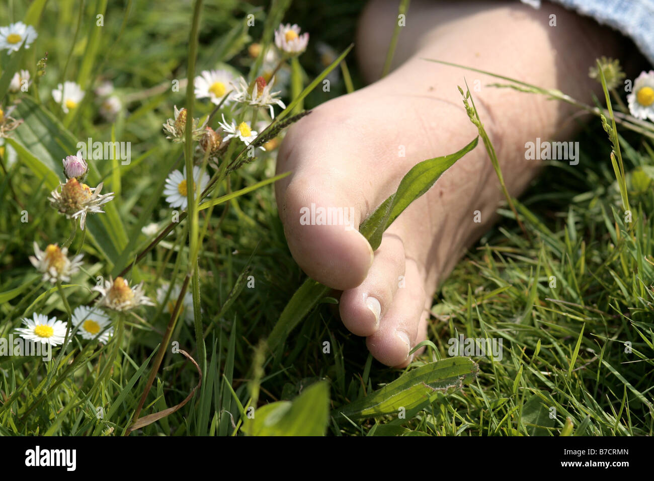 leaf between toes Stock Photo - Alamy