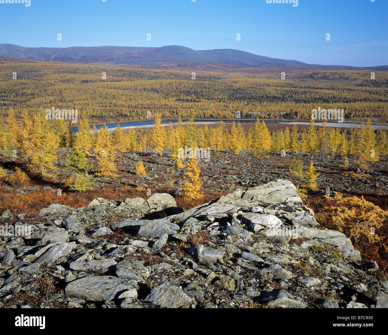 Russia. Yamal Region. Polar Ural, river Sob'. Autumn Stock Photo - Alamy