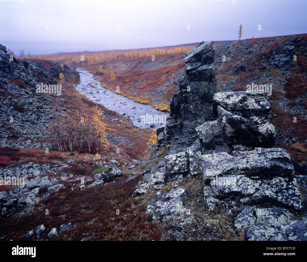 Russia. Yamal Region. Polar Ural. Autumn Stock Photo - Alamy
