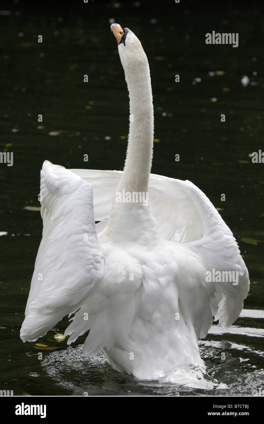 Having a Stretch Stock Photo - Alamy