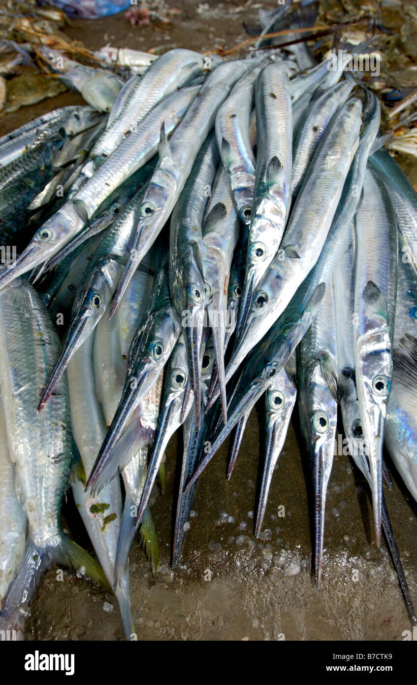 Zanzibar fish Markets Stock Photo - Alamy