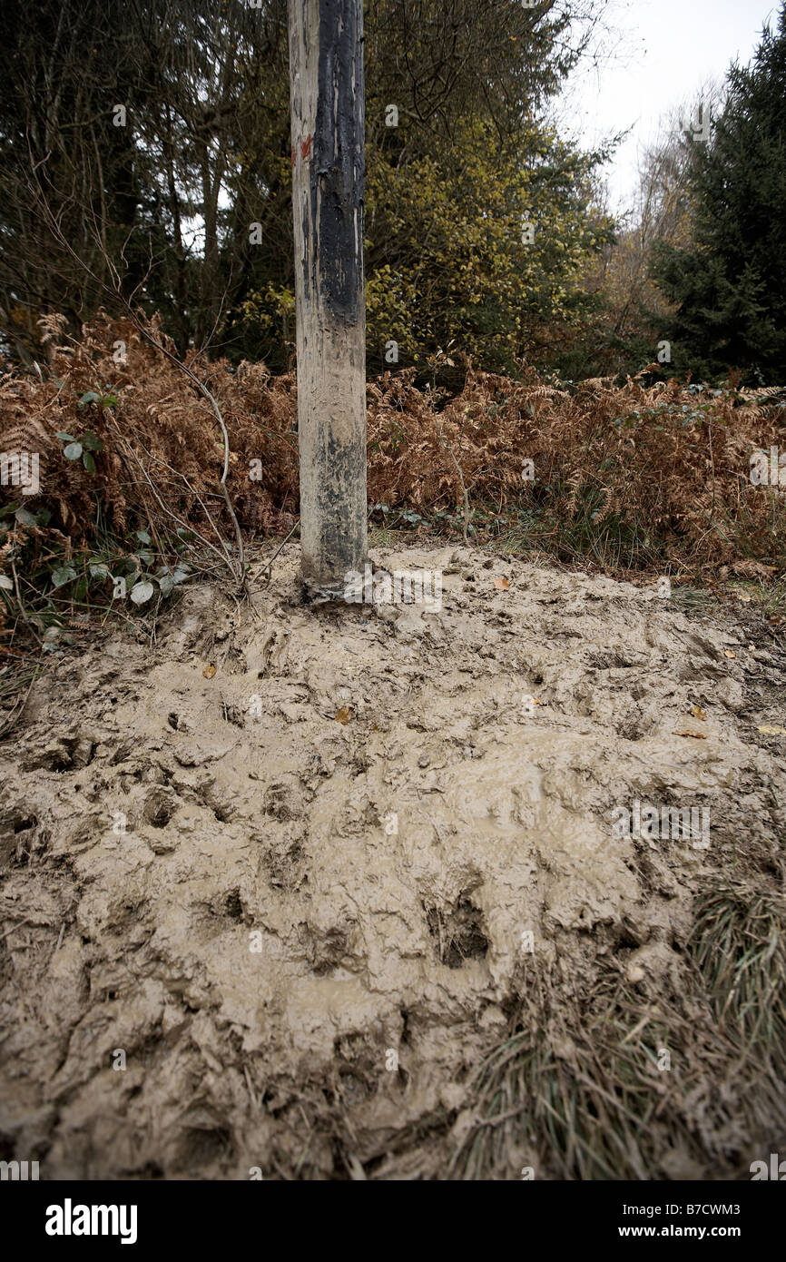 Animal wallow hi-res stock photography and images - Alamy