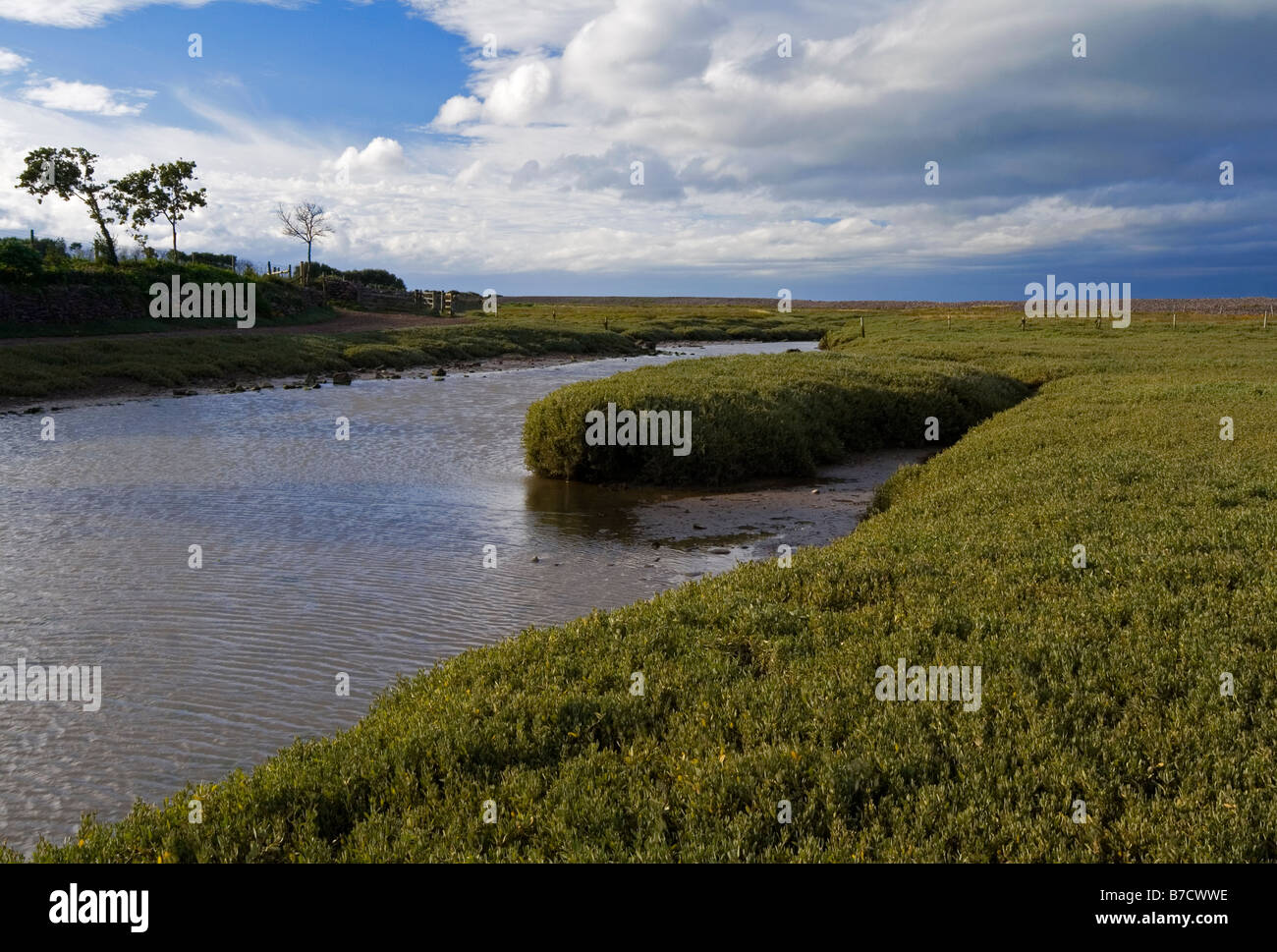 Porlock marsh and exmoor hi-res stock photography and images - Alamy