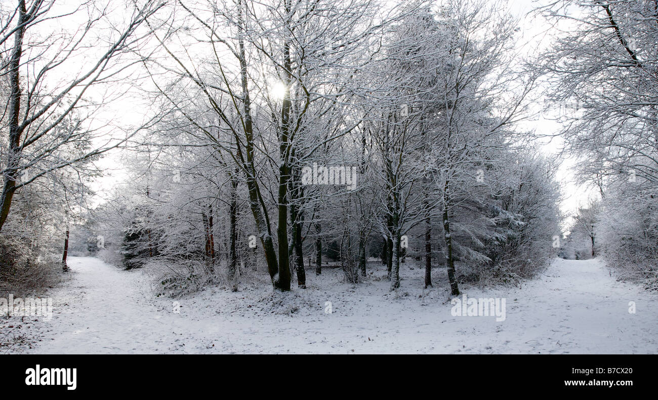 Snow scene on Lickey Hills, Worcestershire, England UK Stock Photo - Alamy