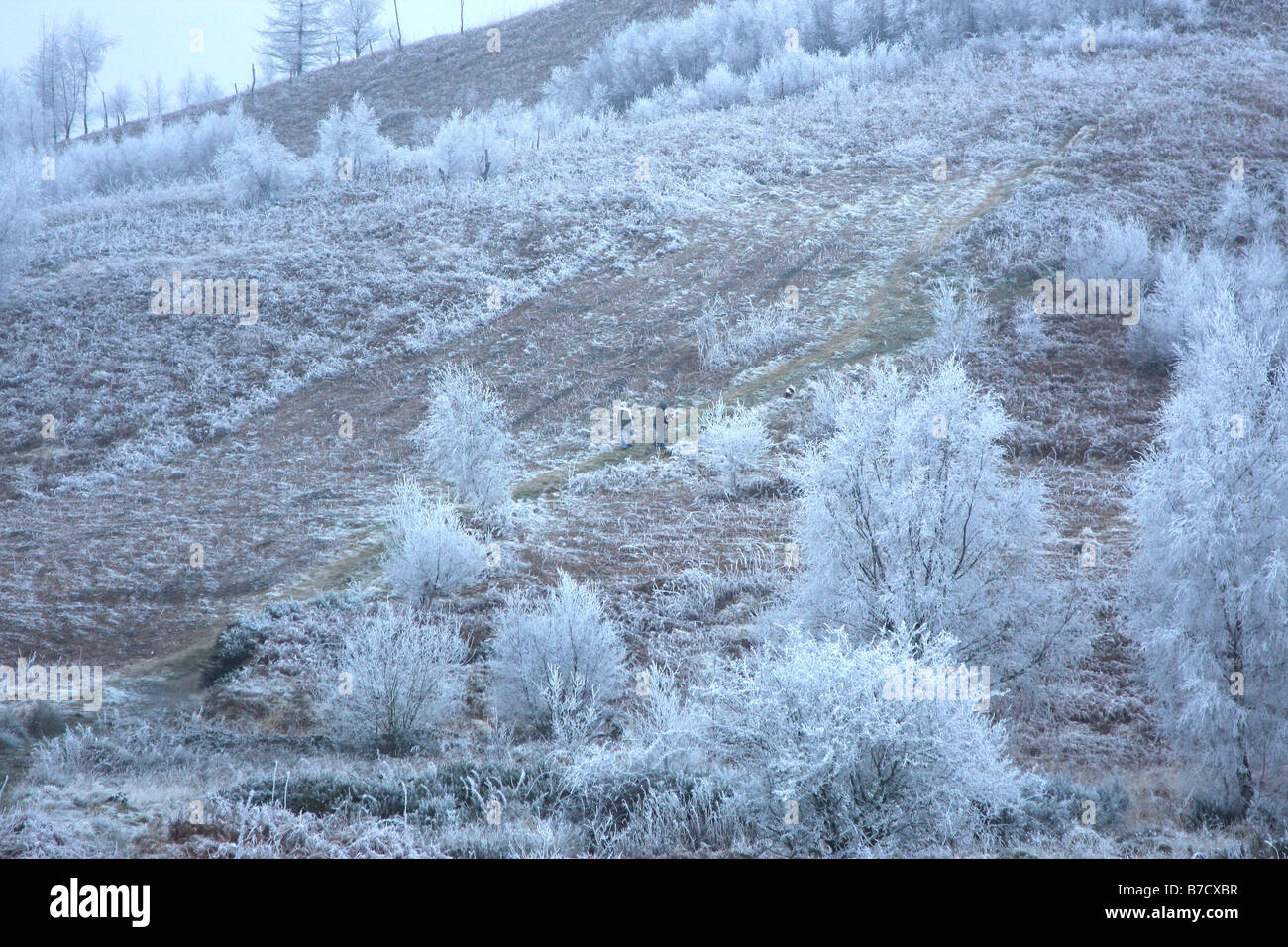 Rudry South Wales GB UK 2009 Stock Photo - Alamy