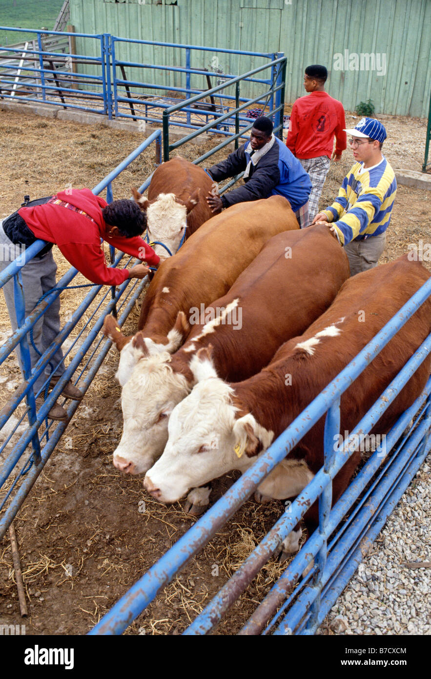African american cow boy hi-res stock photography and images - Alamy