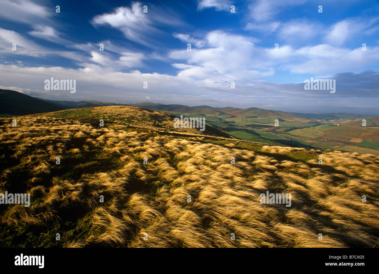 Yeavering bell hi-res stock photography and images - Alamy