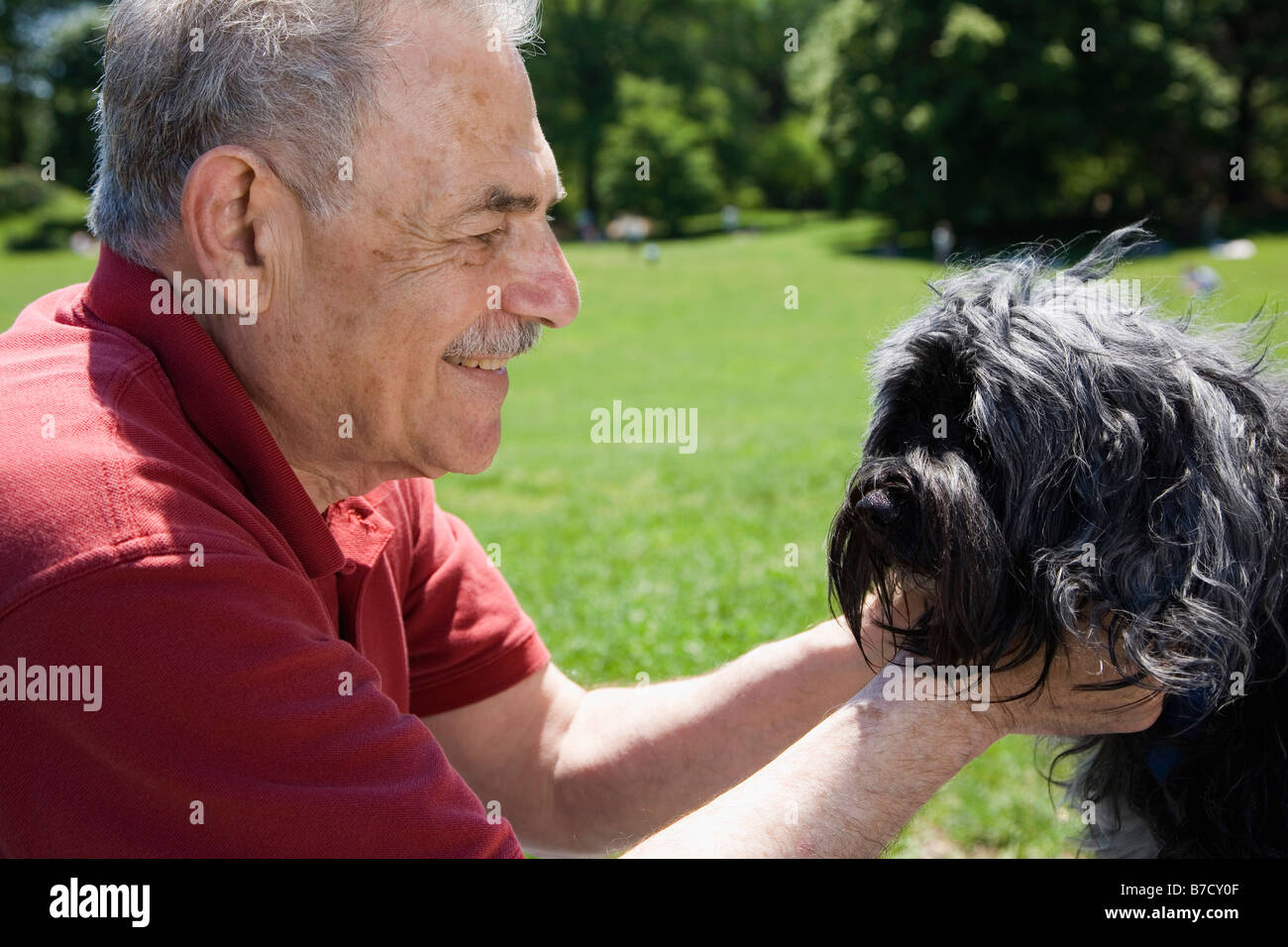 A man and his dog in a park, face to face, Prospect Park, Brooklyn, New ...