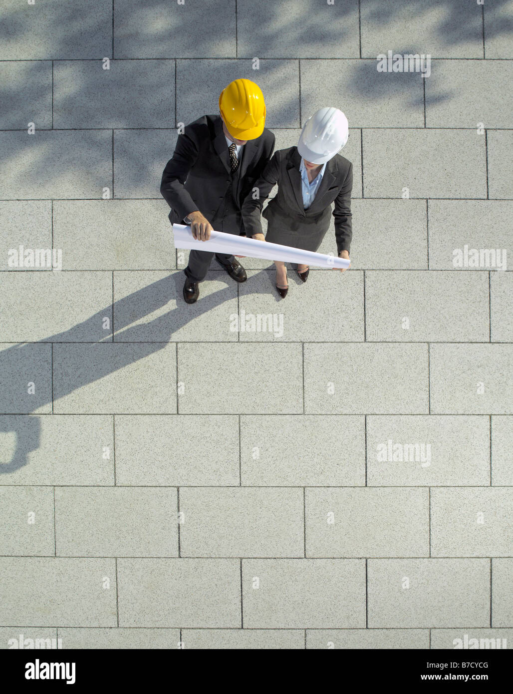 Two architects looking at a blueprint Stock Photo - Alamy