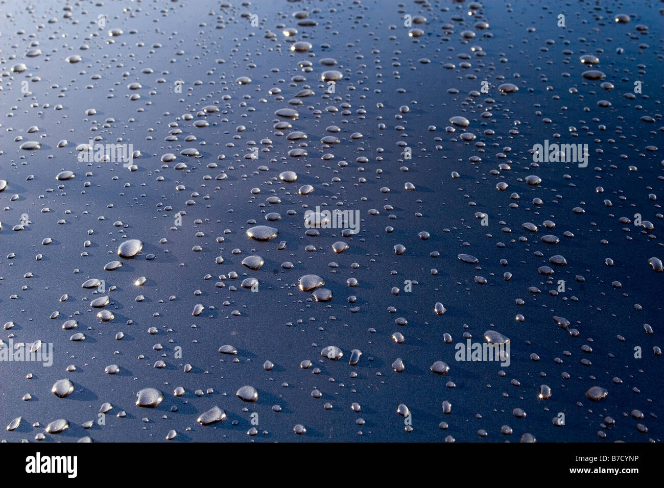 Rain bonnet hi-res stock photography and images - Alamy