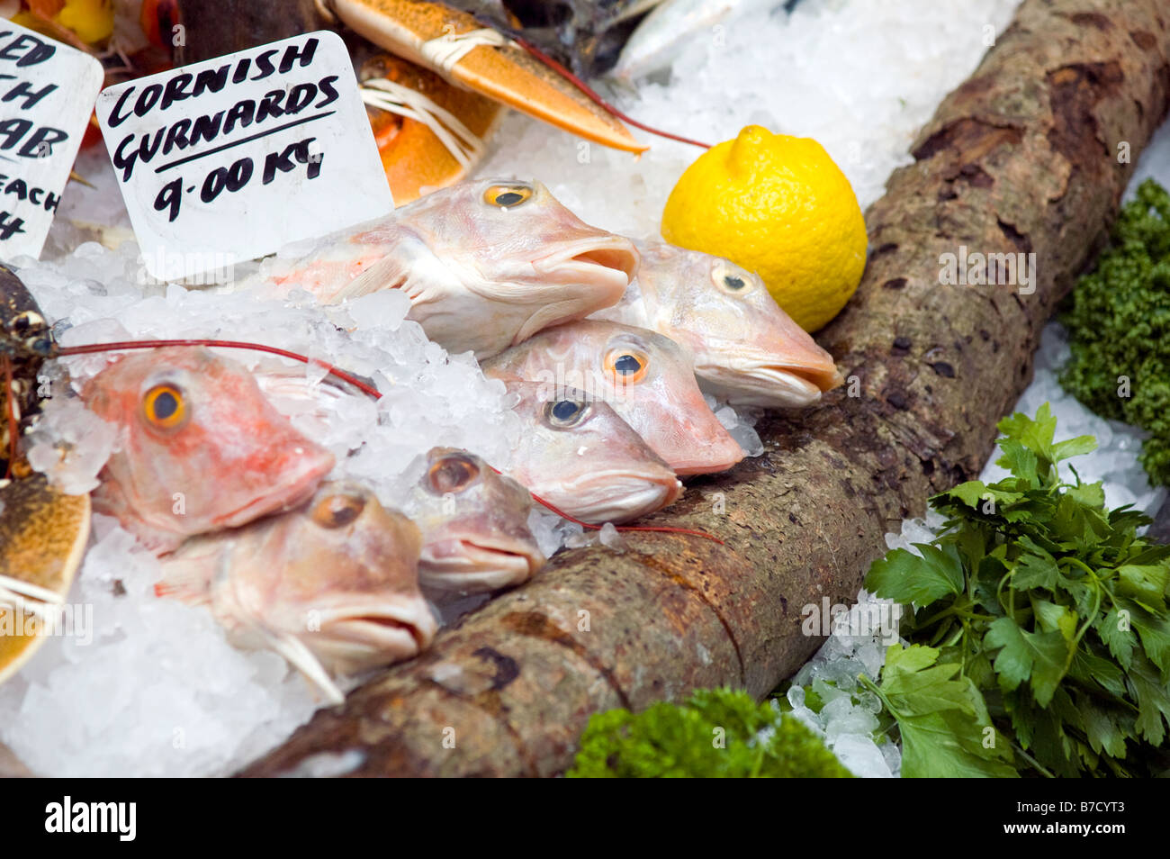 Cornish fresh fish hi-res stock photography and images - Alamy