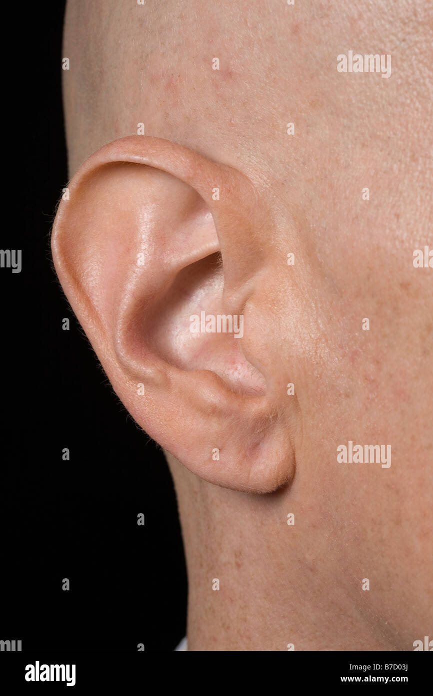 A man's ear Stock Photo - Alamy