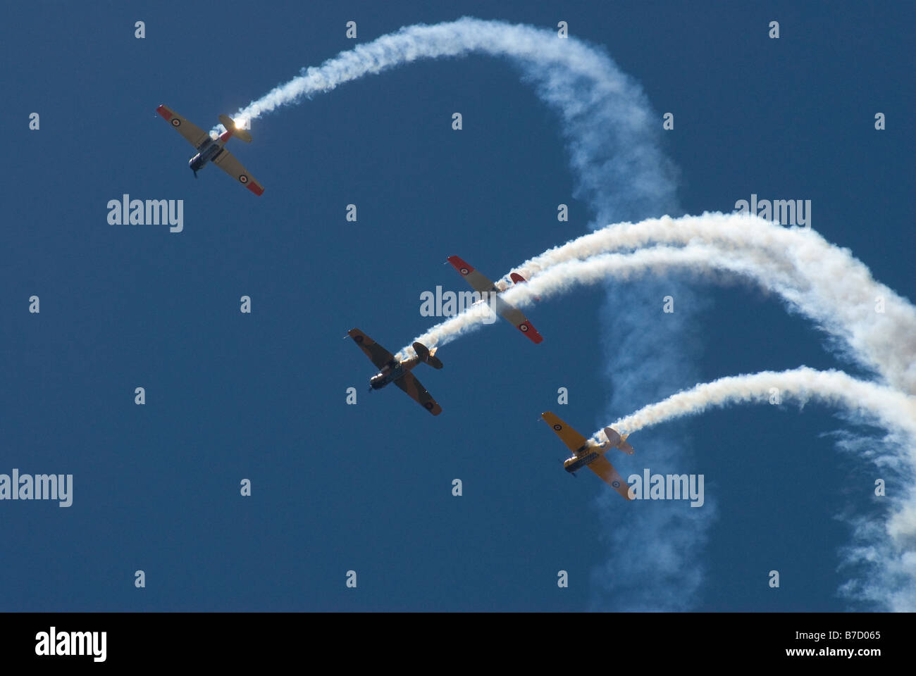 Harvard trainer hi-res stock photography and images - Alamy