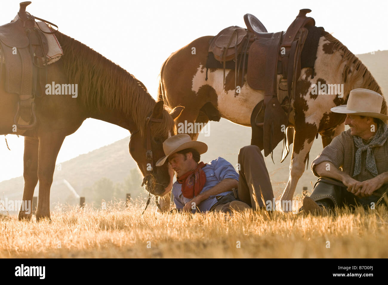 Cowboy Resting High Resolution Stock Photography and Images - Alamy