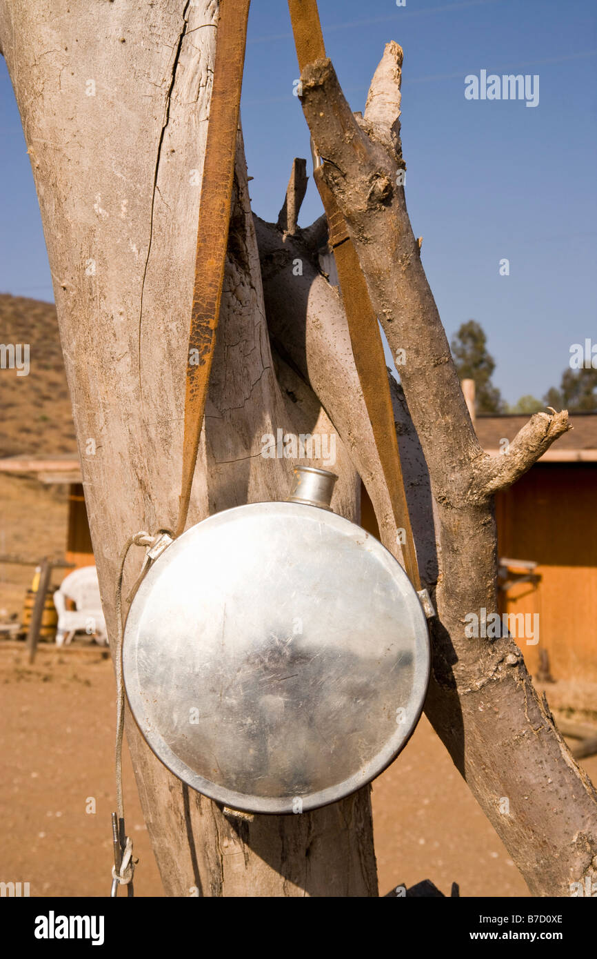 A metal water container hanging from a tree Stock Photo - Alamy