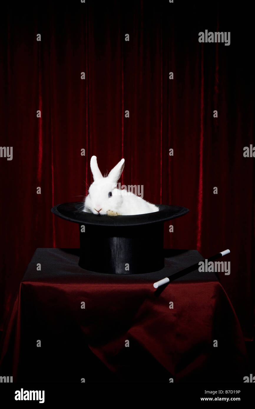 Magic white rabbit hi-res stock photography and images - Alamy