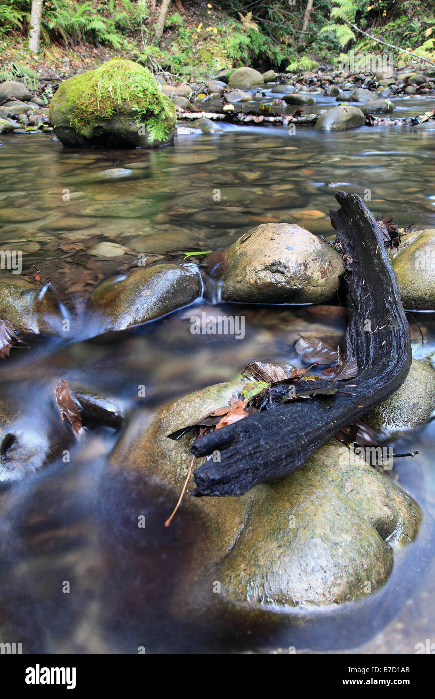 Wood and rocks in the river Stock Photo - Alamy