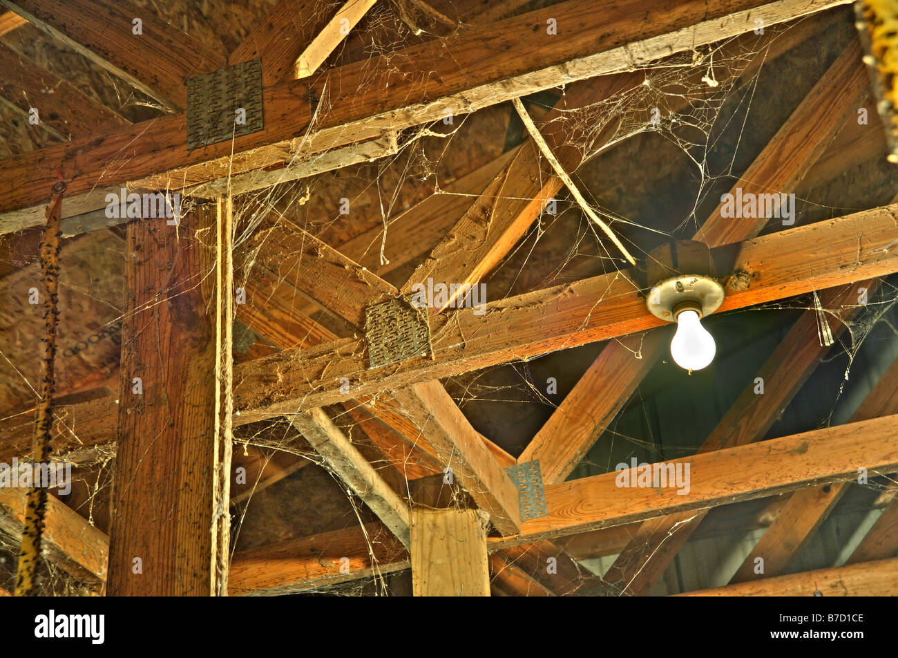 Cobwebs & Light Bulb In Attic Stock Photo - Alamy