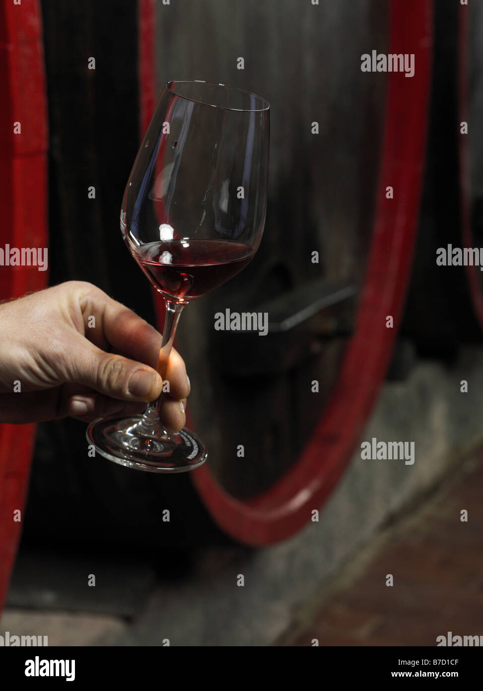 A human hand holding a glass of red wine Stock Photo - Alamy