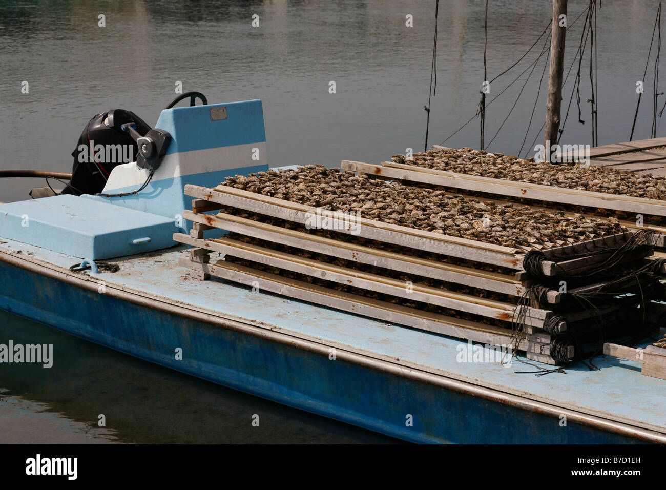 Oyster rack hi-res stock photography and images - Alamy