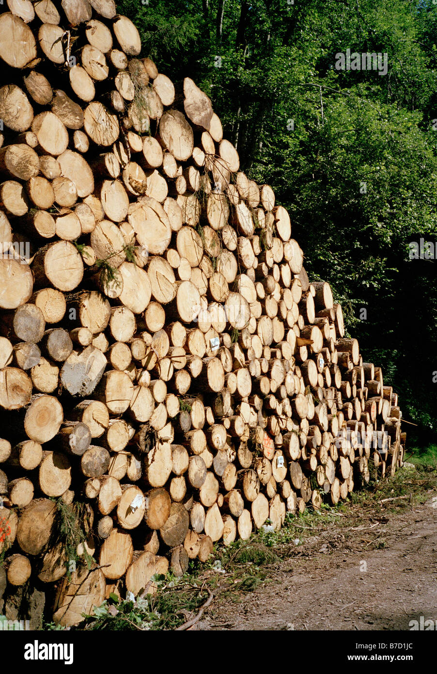 A stack of logs, Austria Stock Photo - Alamy
