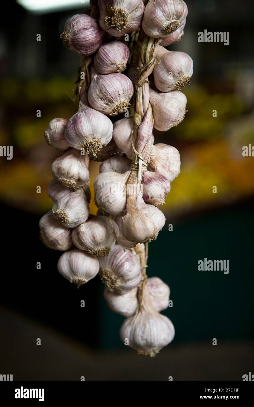 A string of garlic Stock Photo - Alamy