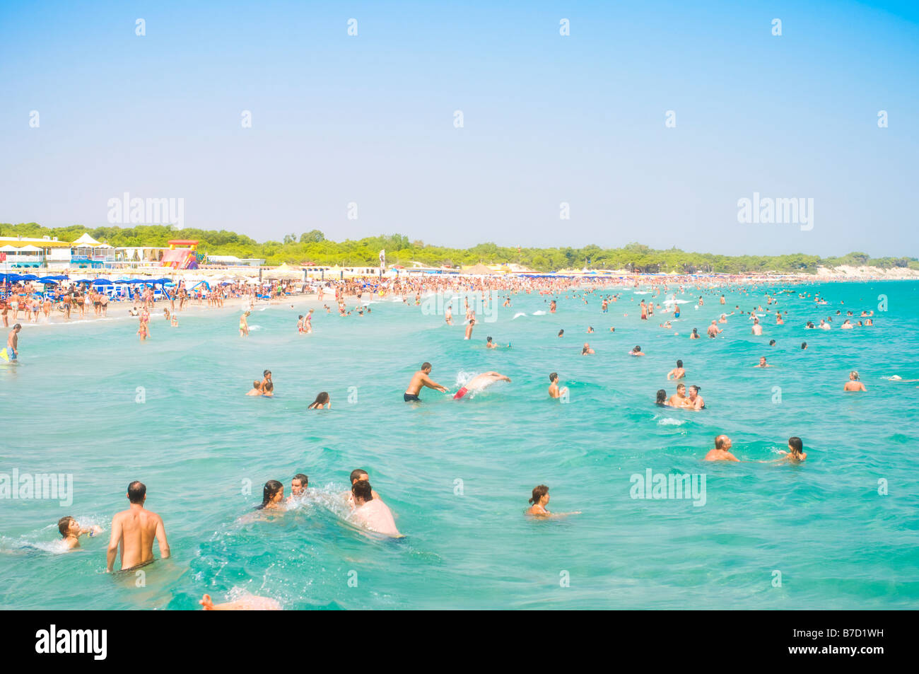 Mid august hi-res stock photography and images - Alamy