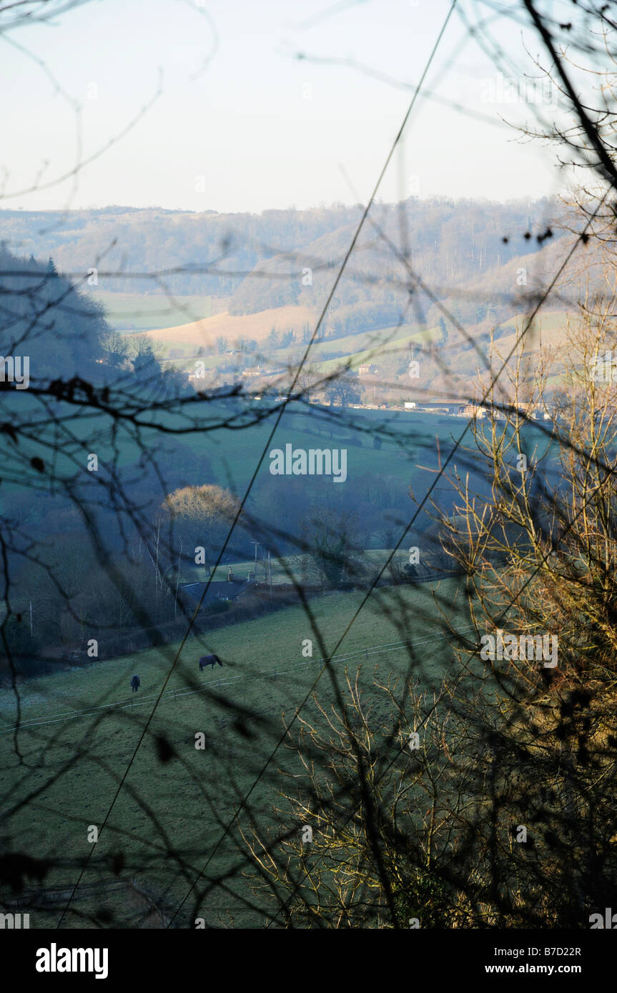 Sunlit Valley in the Cotswolds on a Winters Afternoon Stock Photo - Alamy
