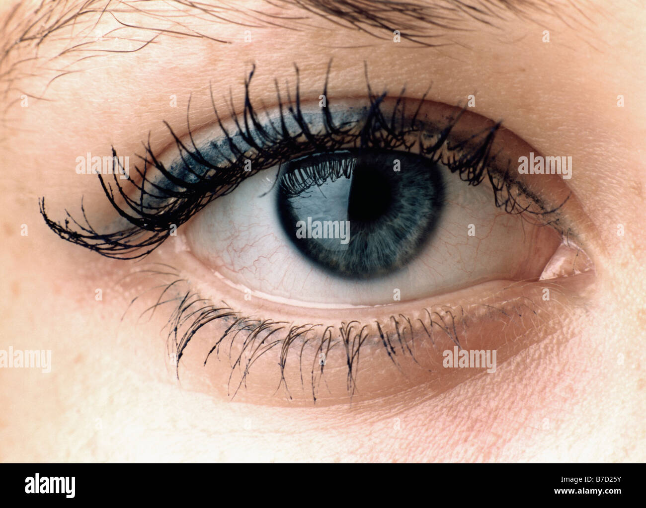 Close up photography of a womans eye hi-res stock photography and ...