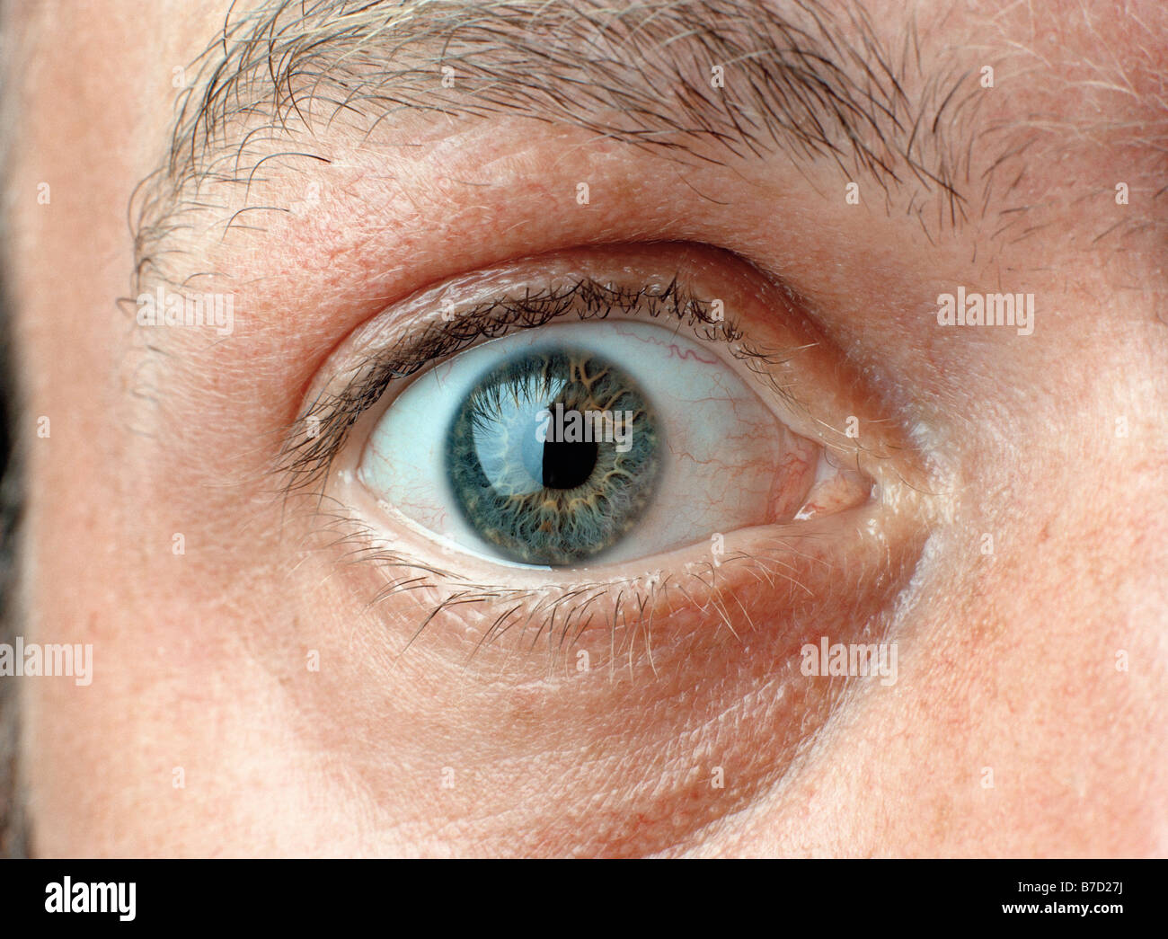 Close-up of a man's eye Stock Photo - Alamy