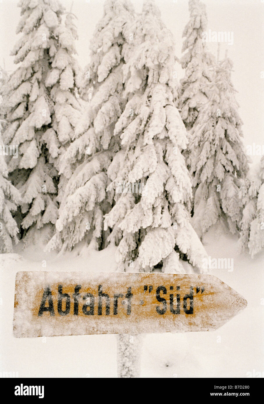 Wooden arrow sign in a snow covered forest Stock Photo - Alamy